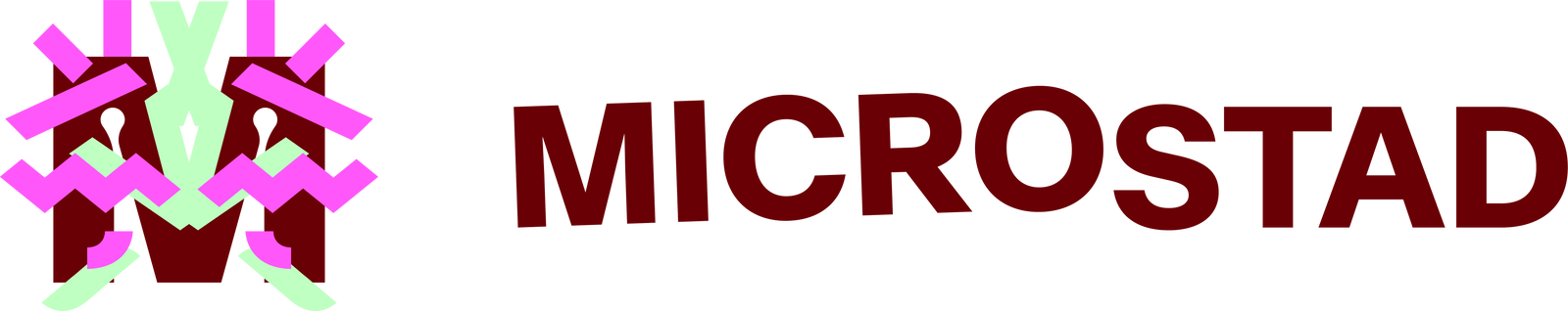 Microstad | Over Microstad